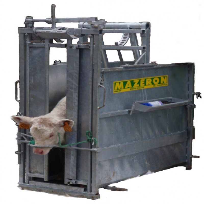 Cage de contention pour veaux Agro Direct