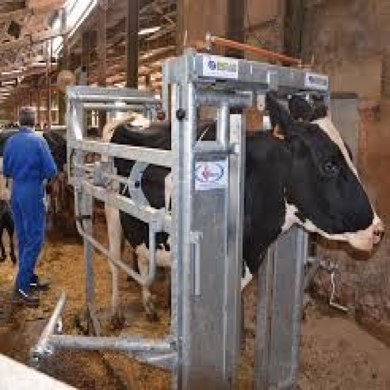 Cage de parage VL simple Contention Agro Direct