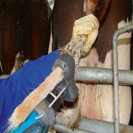 Hygiène mamelle vaches – TailWell2® Power Tail Trimmer | Agro Direct