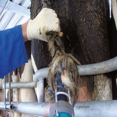 Hygiène mamelle vaches – TailWell2® Power Tail Trimmer | Agro Direct