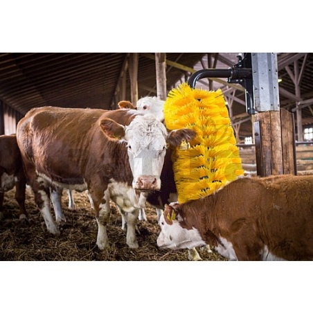 Brosse électrique rotative vaches et taureaux Agro Direct
