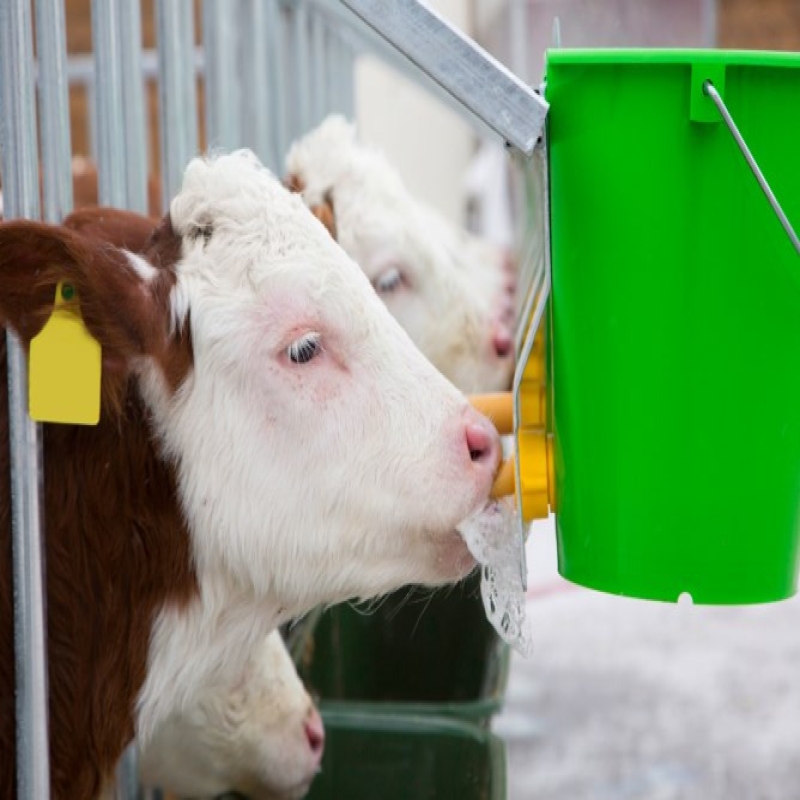 Seau veau 8 L clapet hygiénique-Agro Direct